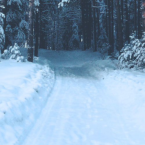 HRT Activates Snow Routes for Winter Storm – Hampton Roads Transit